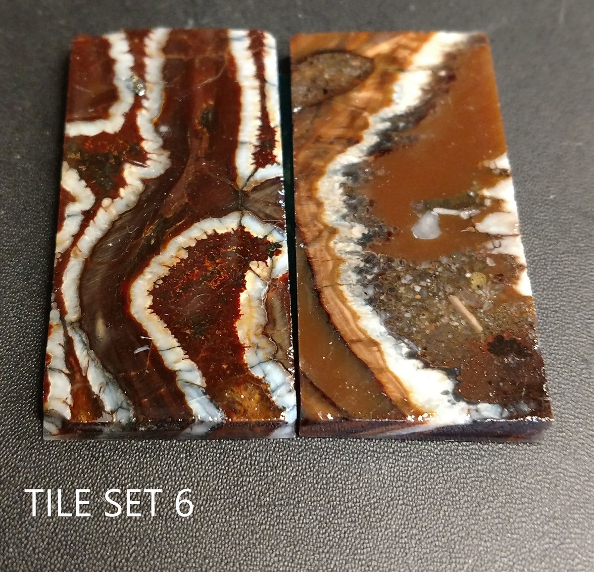 RAFFIR FOSSIL-Mammoth Tooth Tiles – RaffirUSA.com